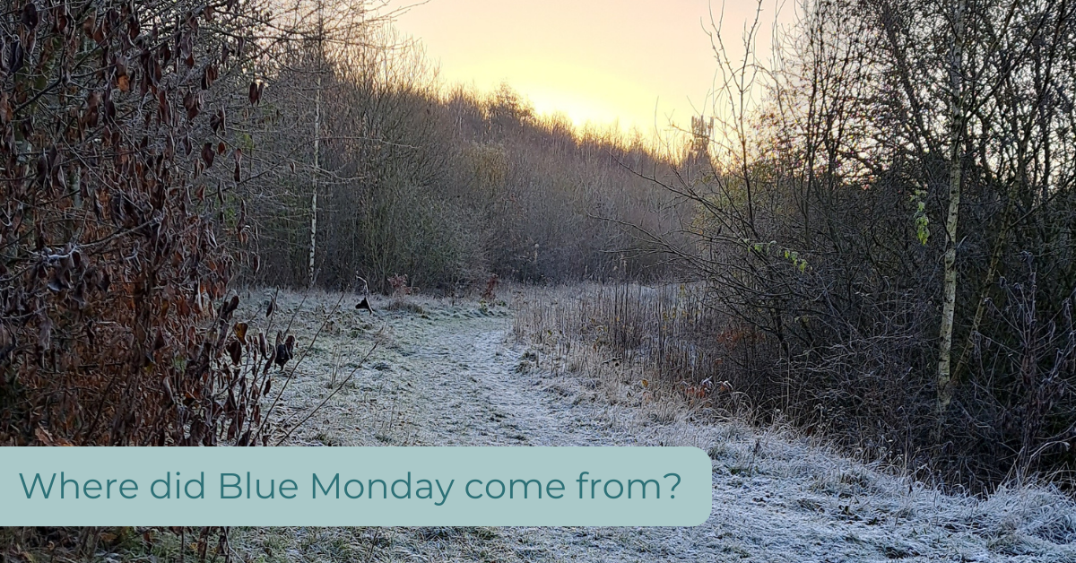 Where did ‘Blue Monday’ come from? – Helen Humphreys Business Solutions